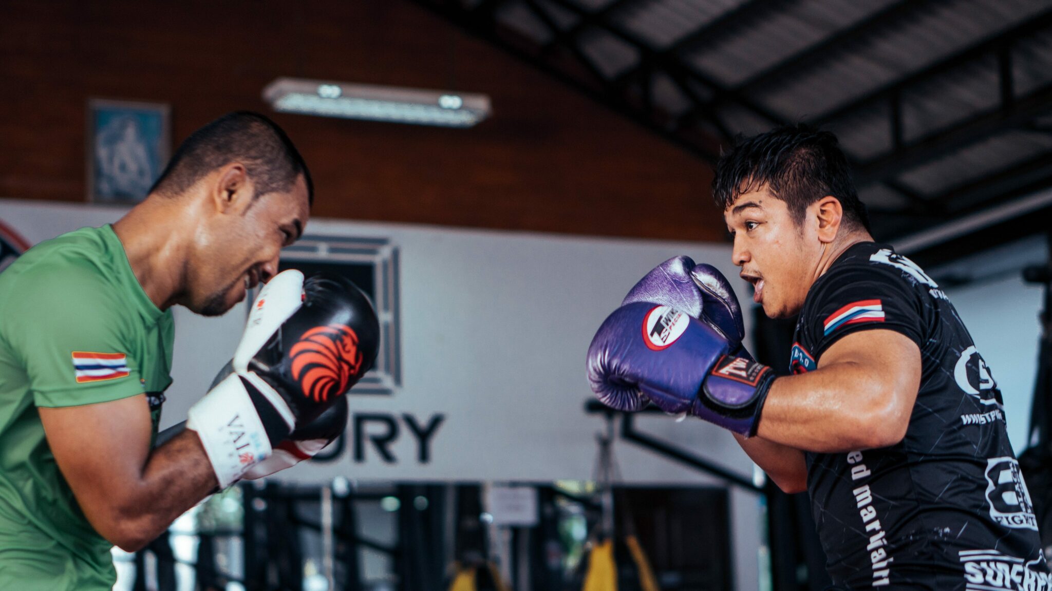 Is Boxing Considered A Martial Art: Fully Explained - Lineal Boxing